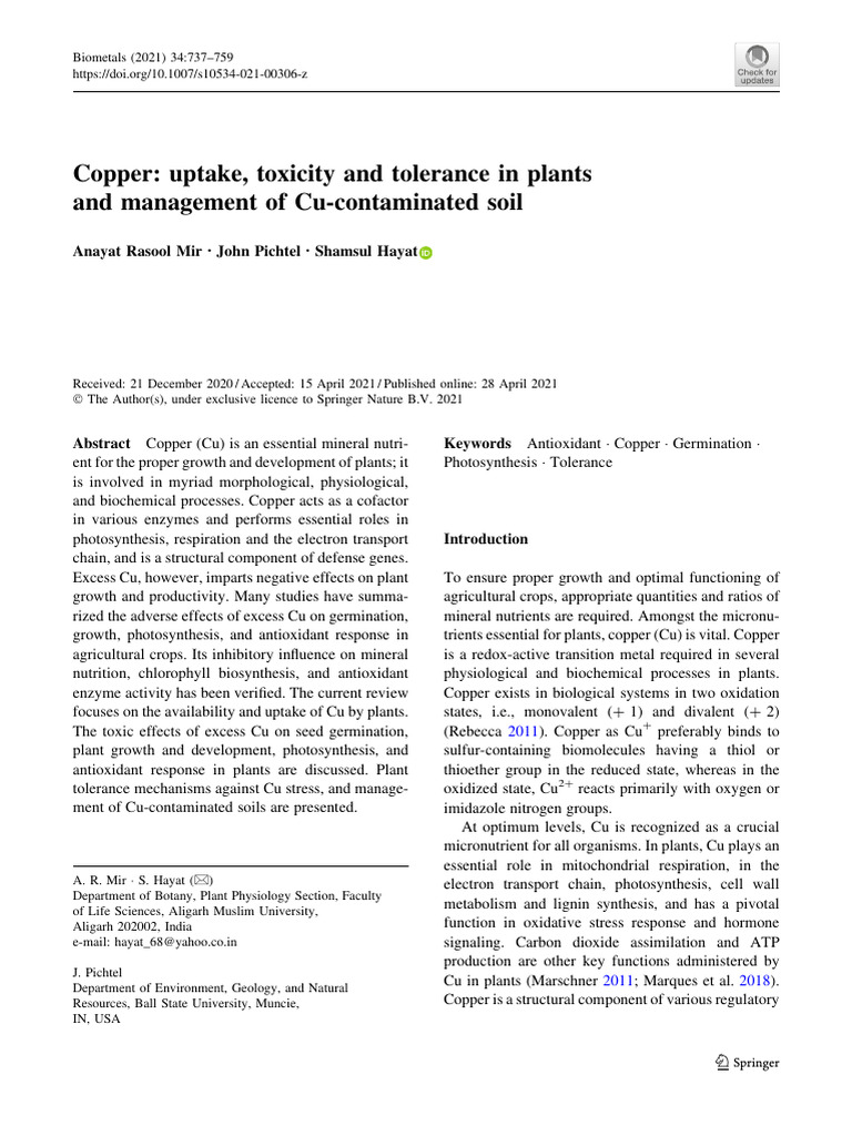 Copper Toxicity and Plant Management | PDF | Root | Copper