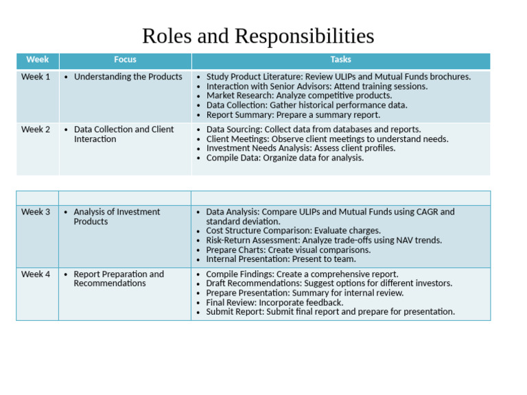 Roles and Responsibilities Table Form | PDF