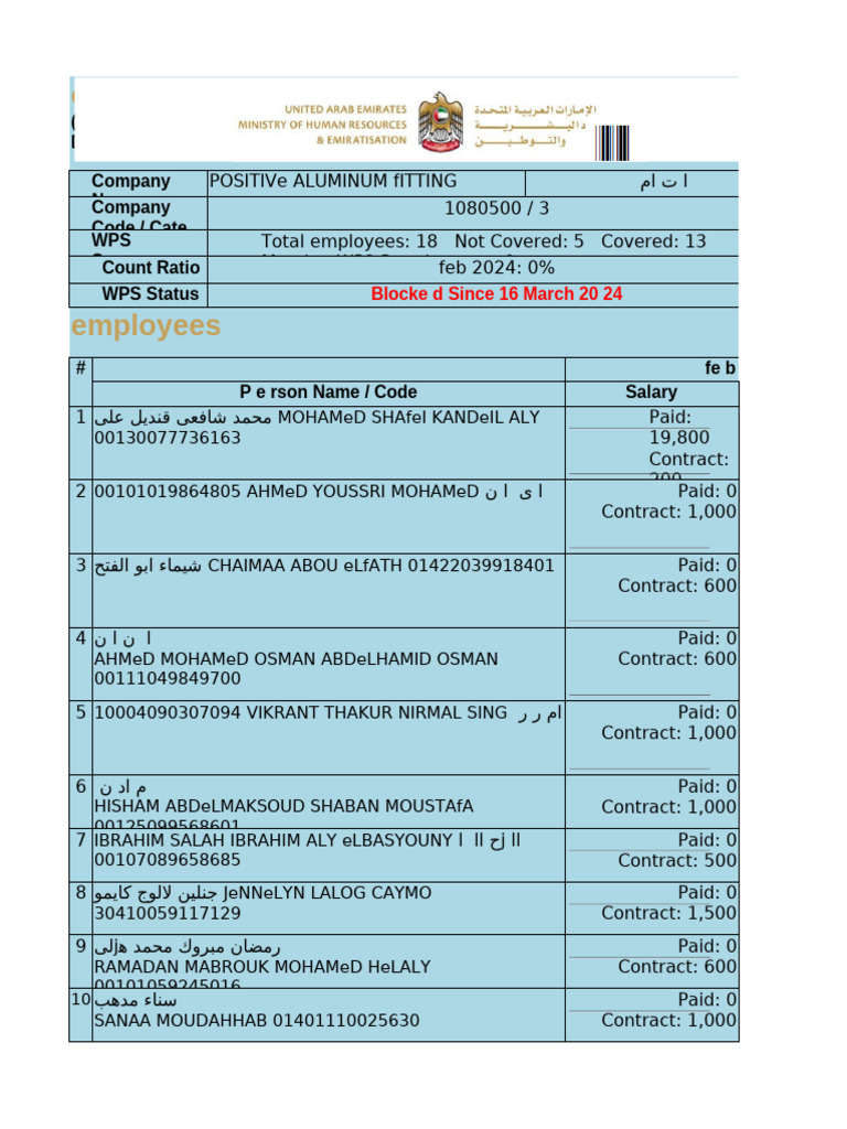 Salary Statement for WPS Compliance | PDF | Salary | Expense