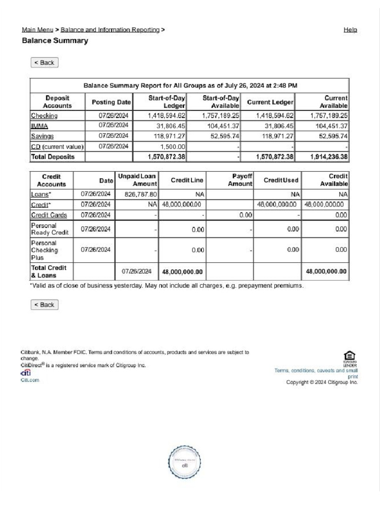 Balance Summary | PDF