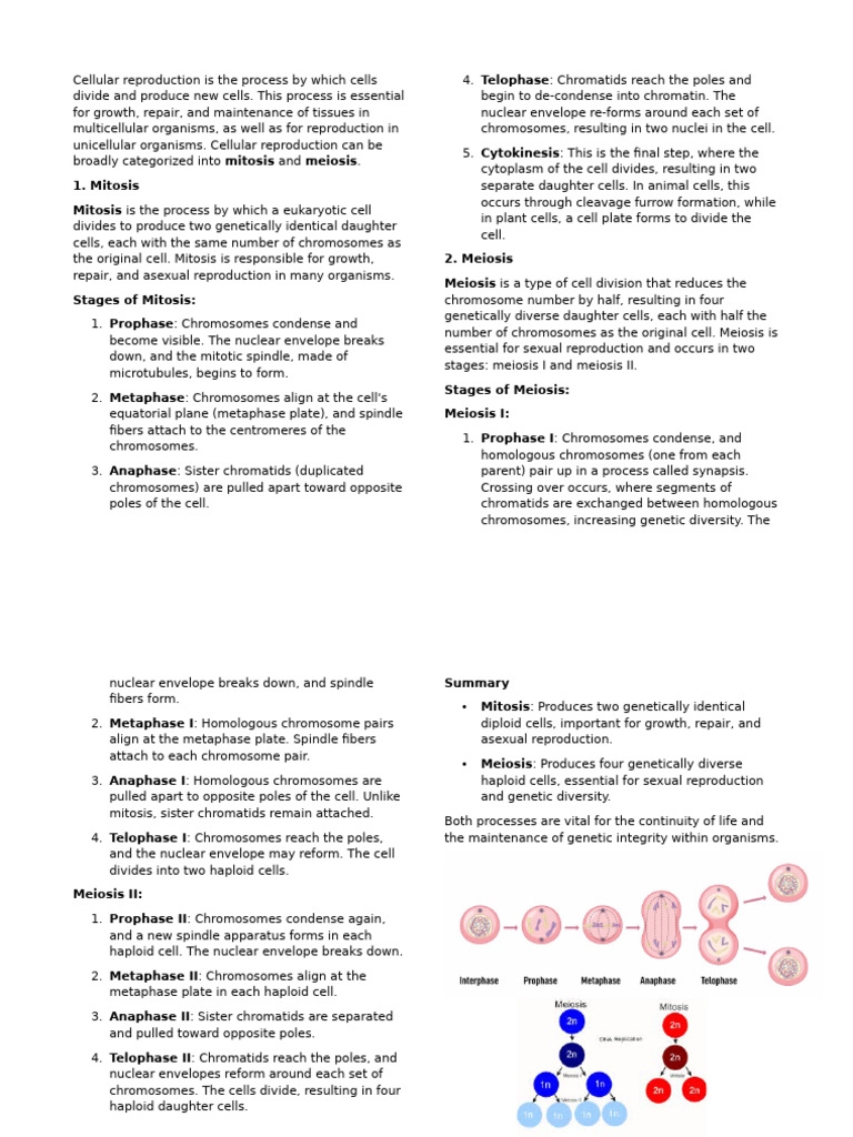 Cellular-reproduction | PDF | Meiosis | Mitosis