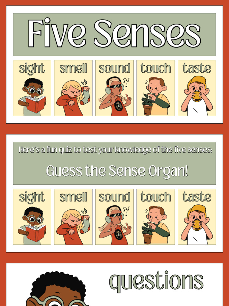 Five Senses Science Quiz | PDF
