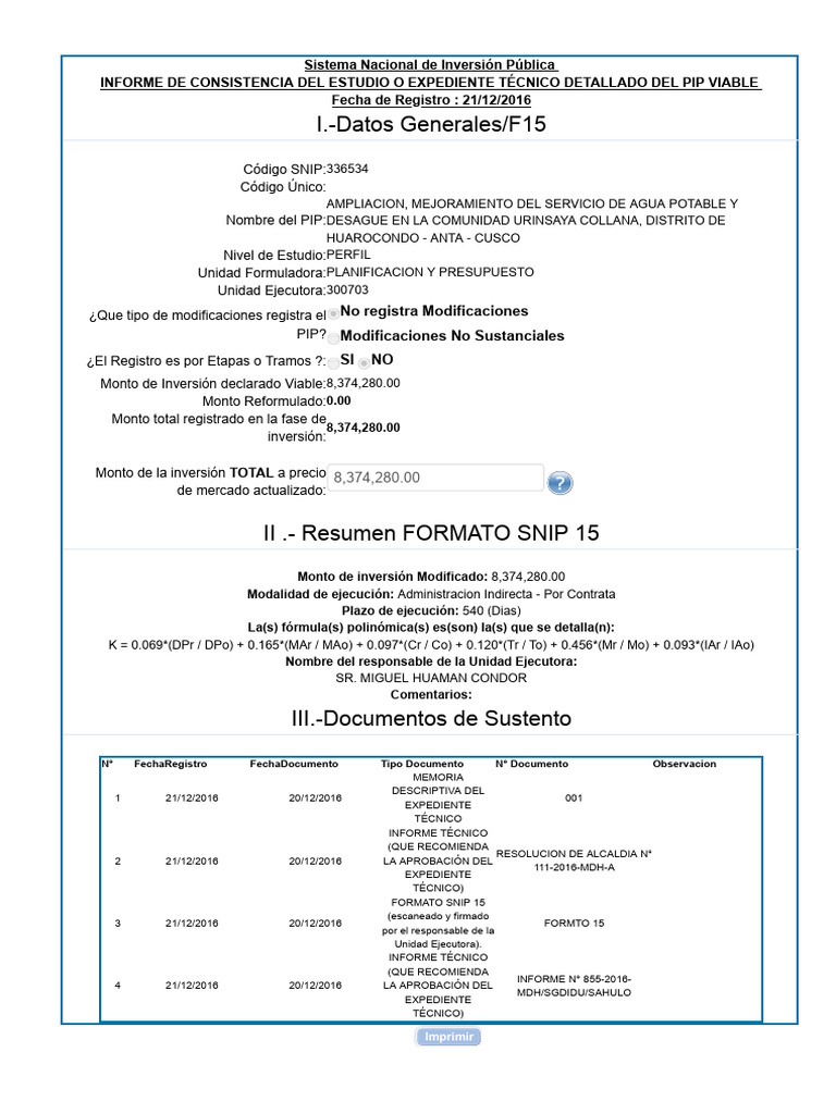 Formato Snip 15 | PDF