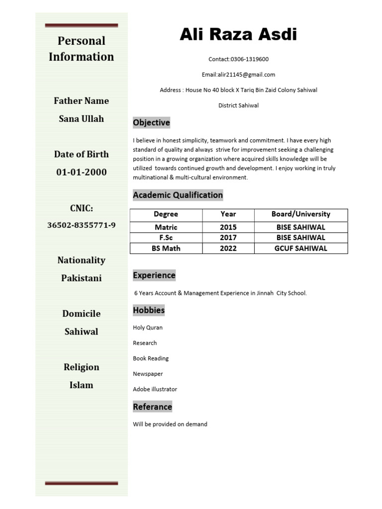 Ali Raza Word CV | PDF