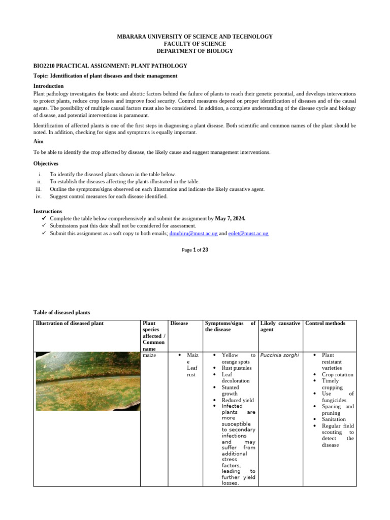 BIO2210 Plant Pathology Practical Assignment-2024 Prossy | PDF | Branches Of Botany | Botany