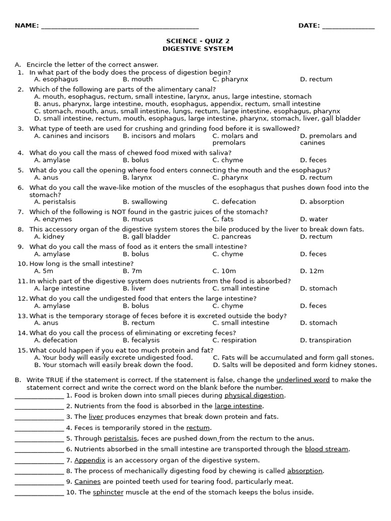 Digestive System Quiz Questions | PDF | Digestion | Human Digestive System