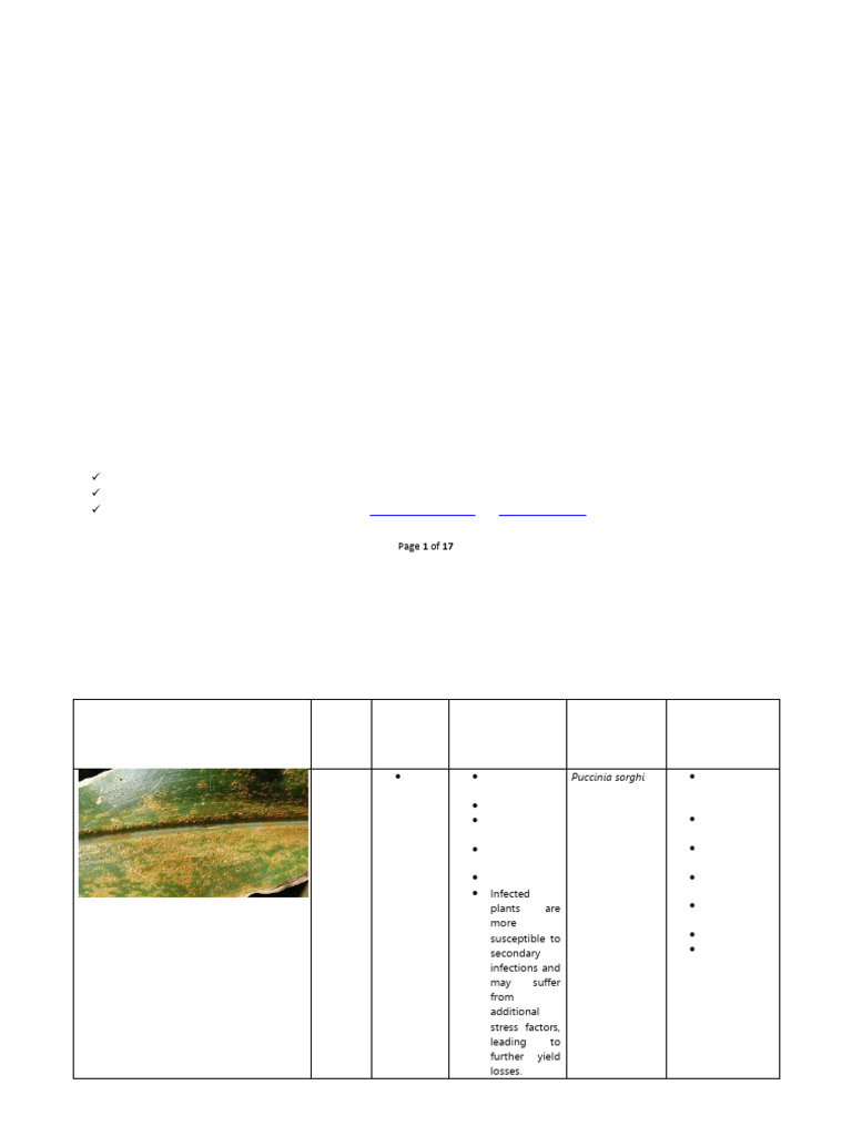 Plant Disease Identification Guide | PDF | Maize | Organisms