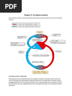 Life Science Grade 11 Term 1 Notes | PDF | Fungus | Algae