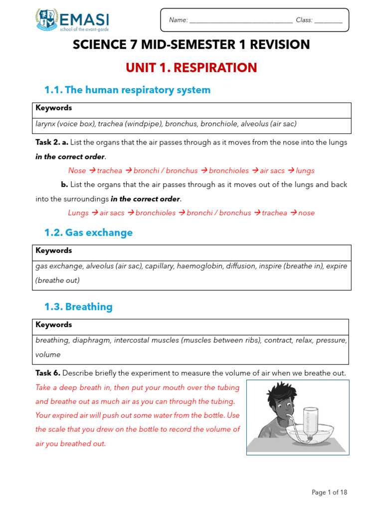 Sci7. Mid-Semester 1 Revision - Key | PDF | Solubility | Breathing