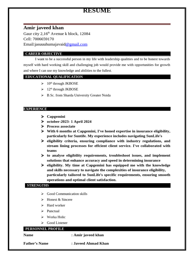 Resume of Amir | PDF