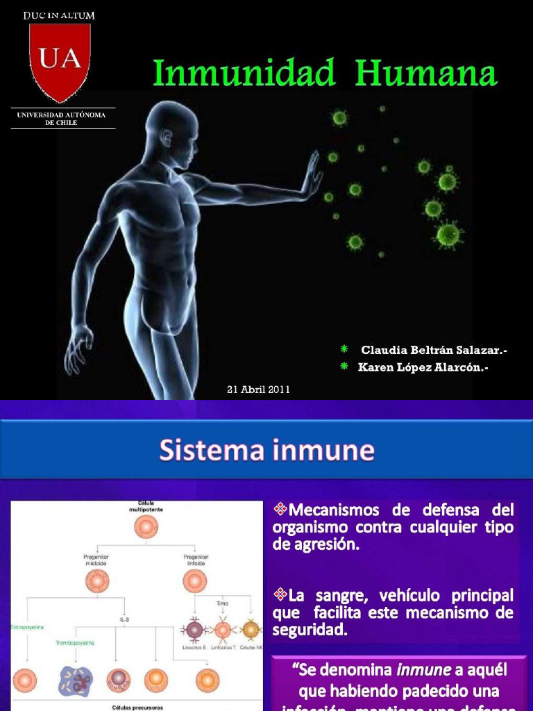 PDF Inmunidad Humana Compress | PDF