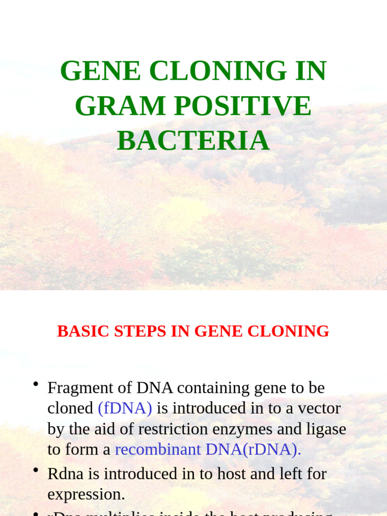 Gene Cloning in Gram Positive Bacteria | PDF | Molecular Cloning ...
