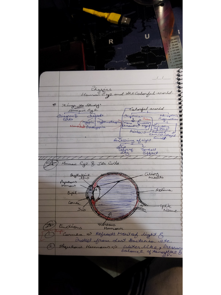 Human Eye Class 10th Notes | PDF