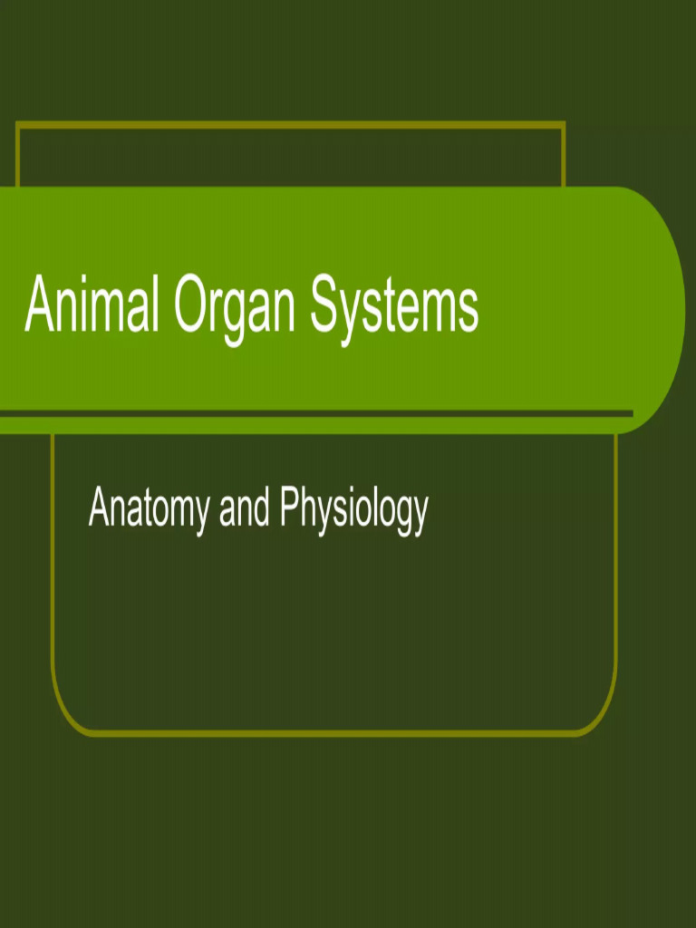 Animal Organ | PDF