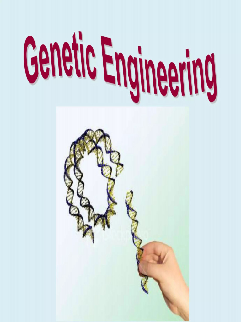 Genetic Modified Engineering | PDF