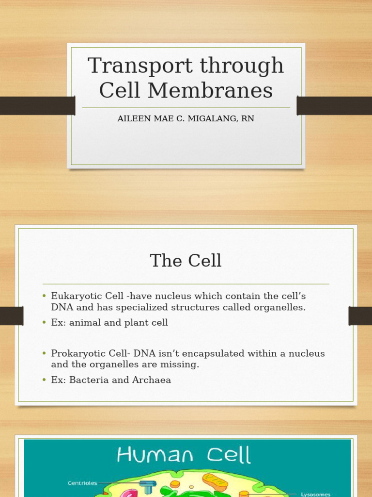 Cell Membrane Transport Mechanisms | PDF | Cell Membrane | Cell (Biology)