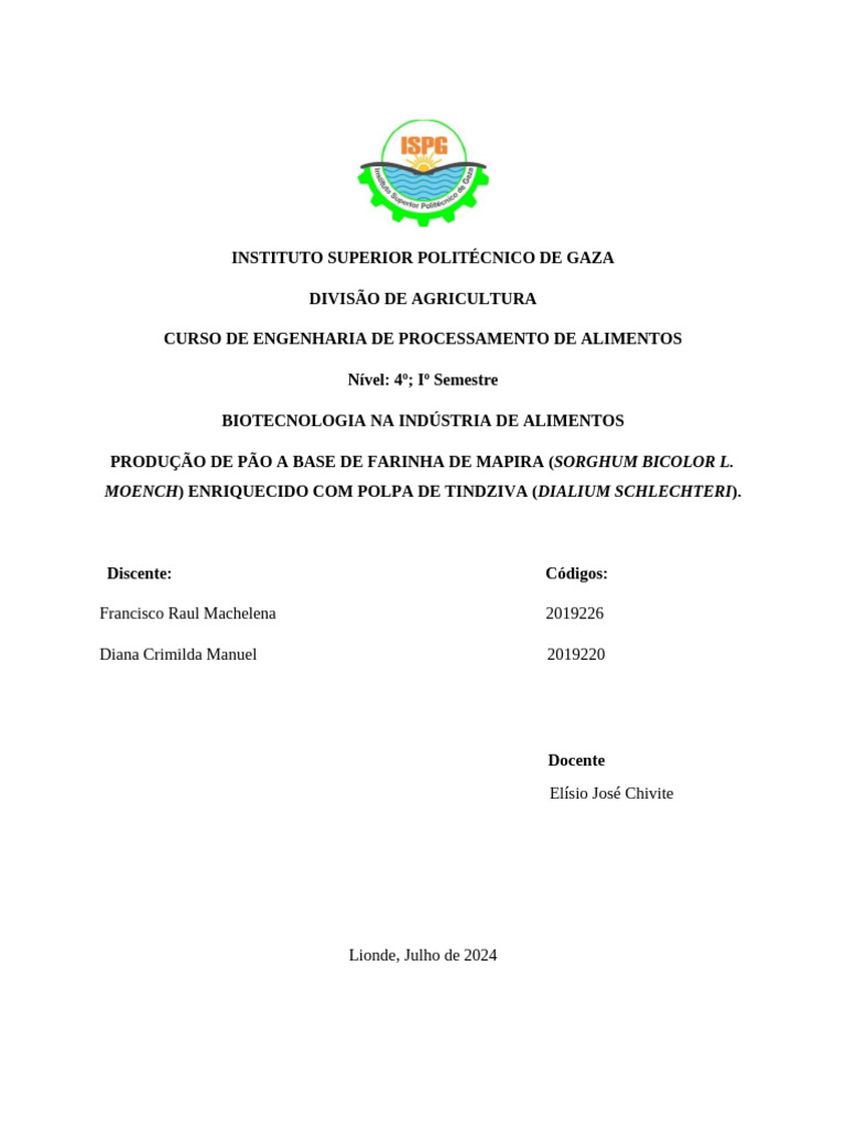Producao de Pao A Base de Mapira Enrriquecido Com Tindziva | PDF | Pães ...