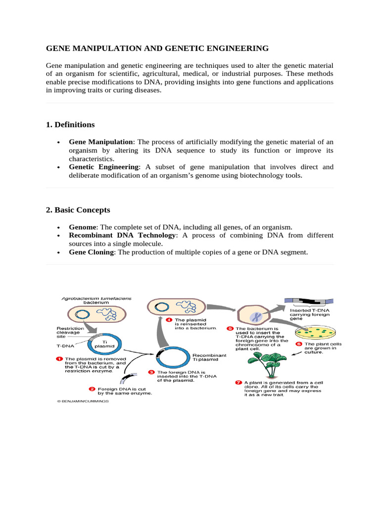 Gene Manipulation and Genetic Engineering | PDF | Genetic Engineering ...