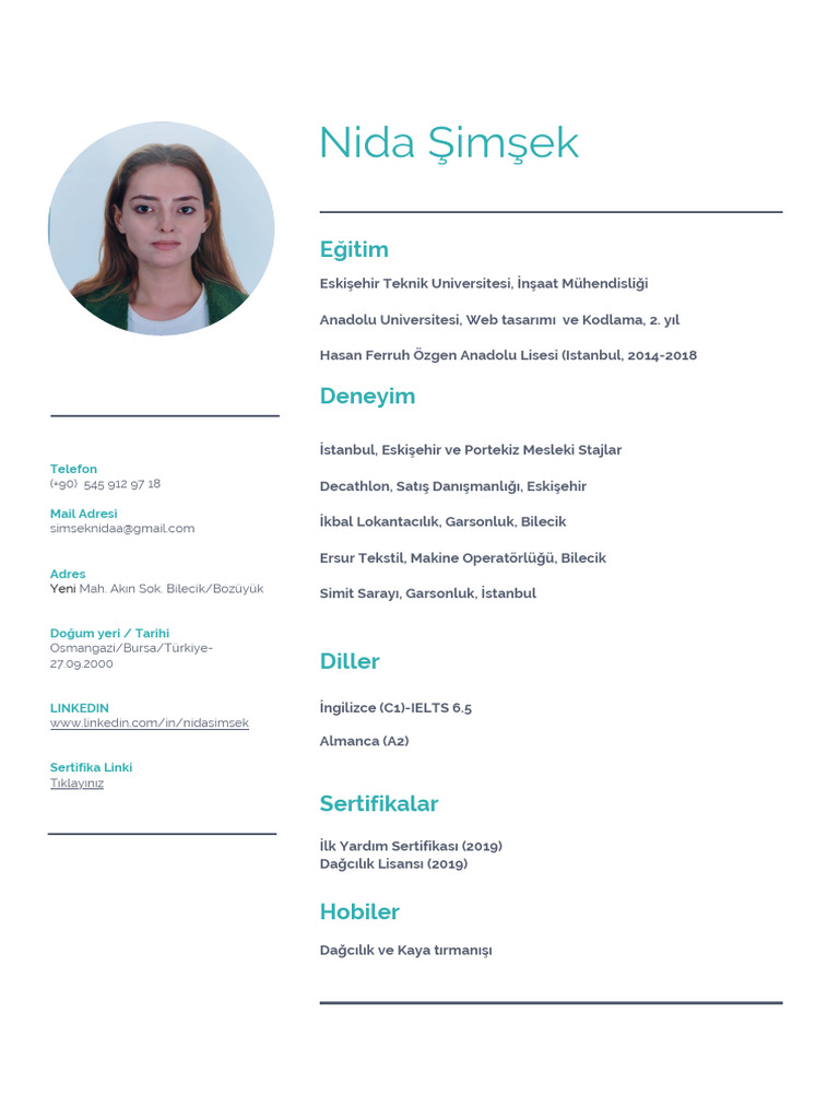 Türkçe CV For Normal | PDF