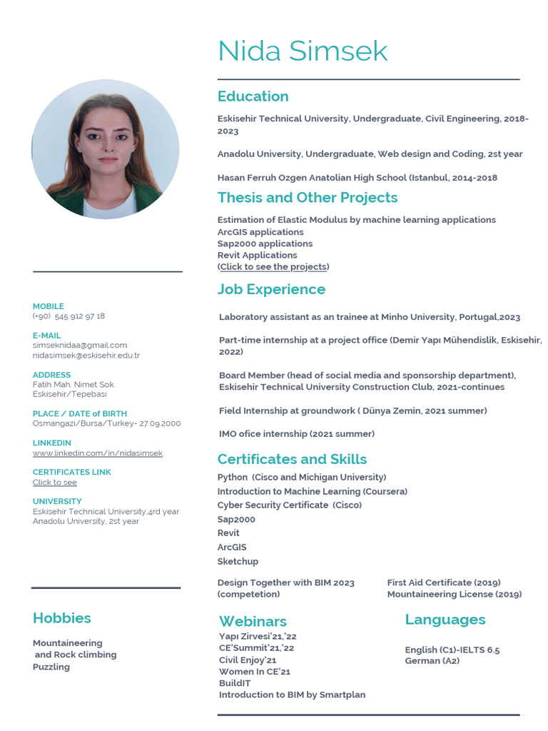 Nidasimsek CV en | PDF | Art | Computers