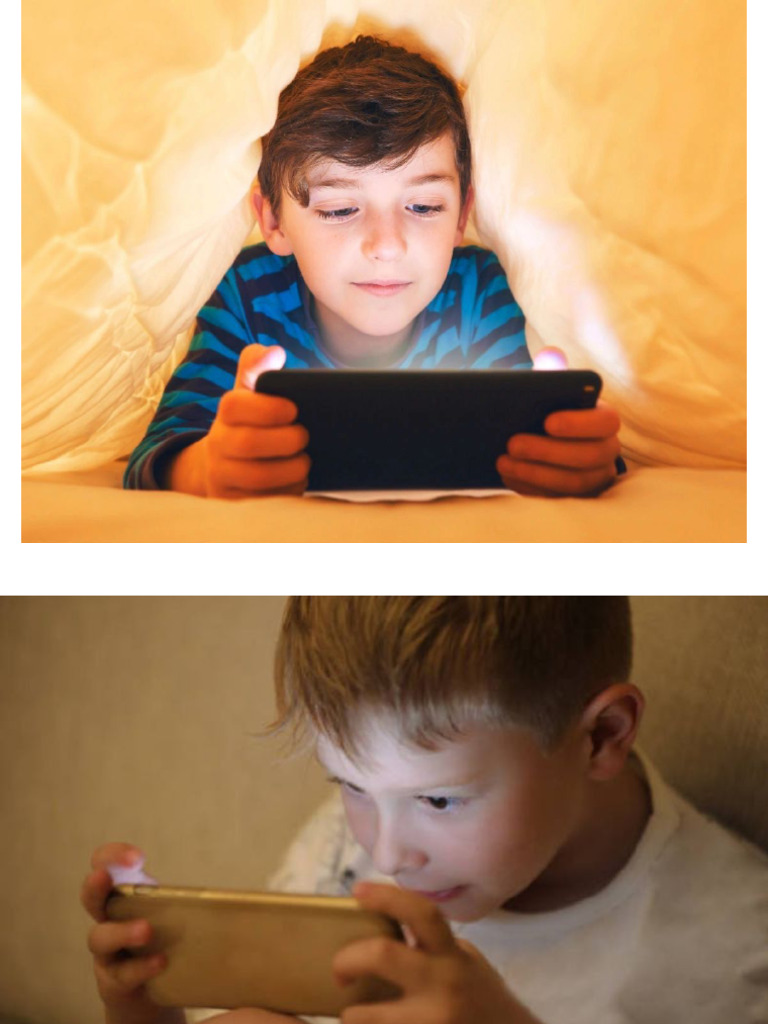 PDFReader 20241009 | PDF