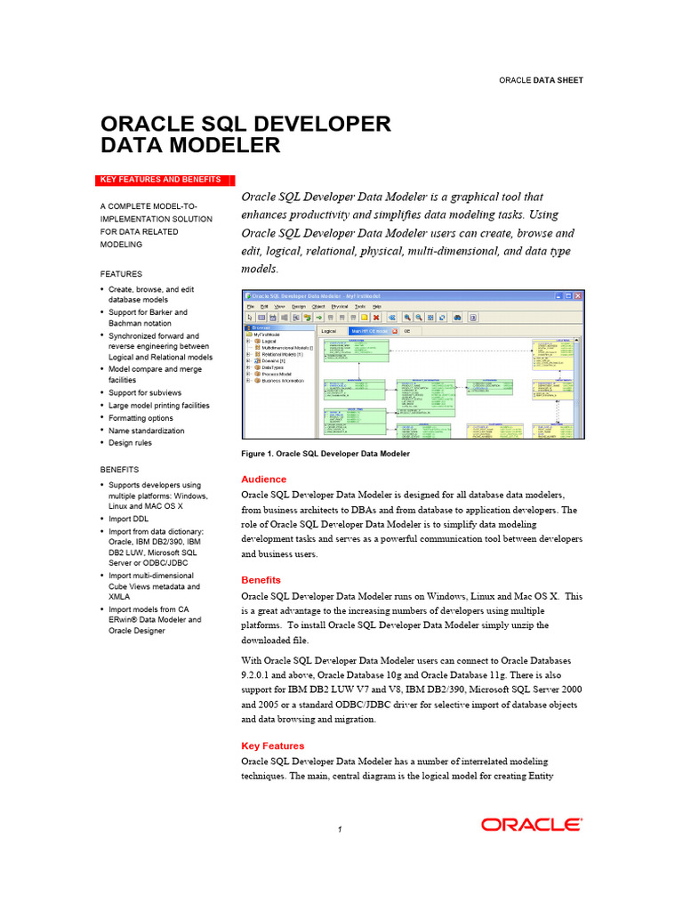 Datamodelerdatasheet 128178 | PDF | Databases | Ibm Db2