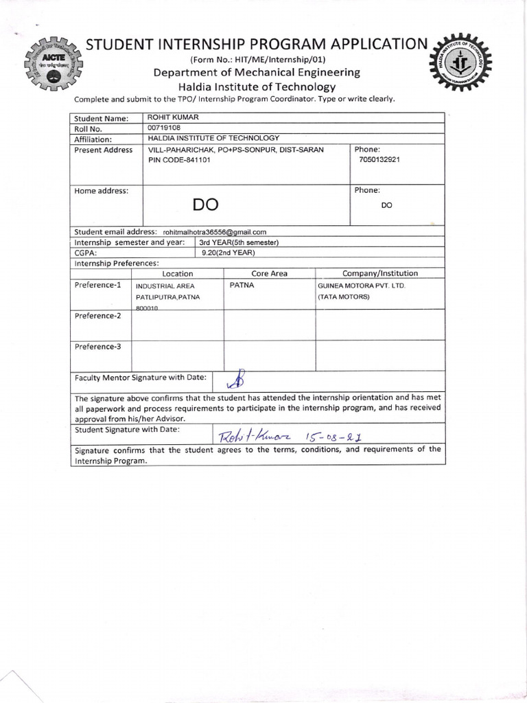 Internship Format 001 | PDF | Internship | Job Hunting