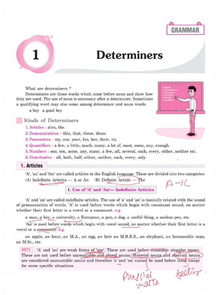 Determiners Exp | PDF