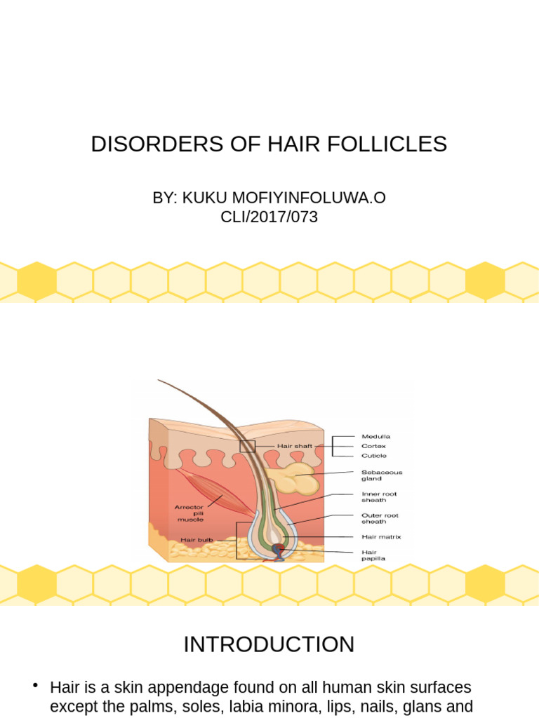 Disorders of The Hair by Kuku Mofiyinfoluwa | PDF | Hair Loss | Human ...