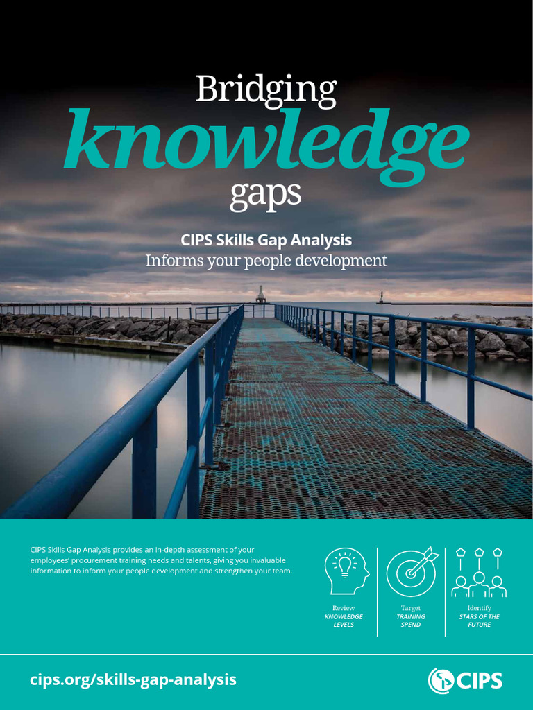 CIPS Skills Gap Analysis | PDF | Procurement | Economies