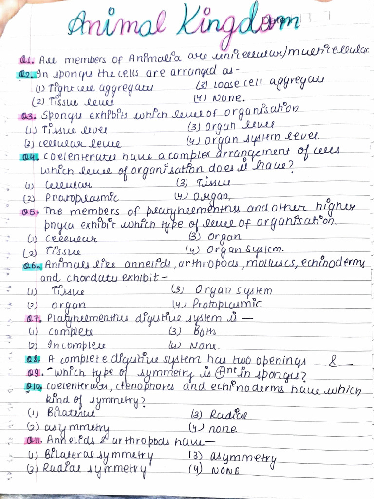 Animal Kingdom | PDF