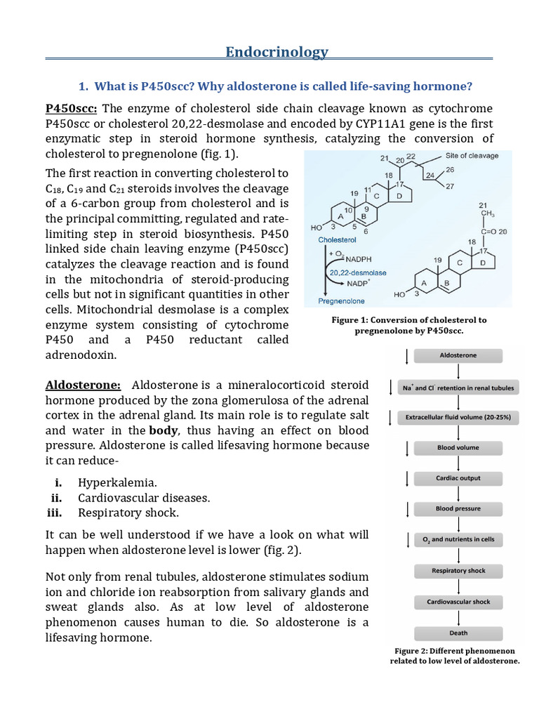 Basic Endocrinology Questions-2 | PDF | Adrenal Gland | Insulin