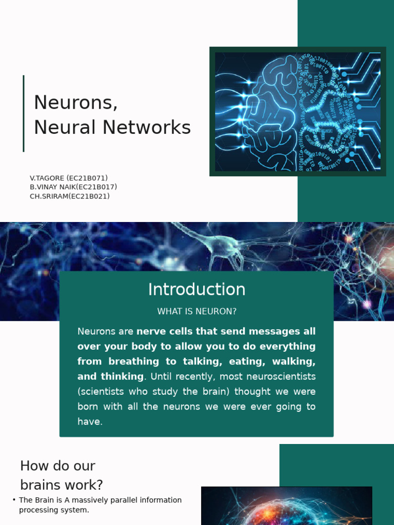 Neuron, Neueral Network | PDF | Neuron | Synapse
