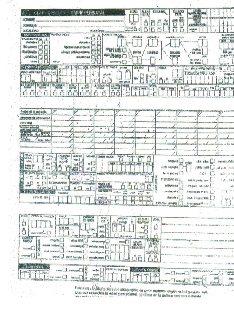 Formato de Control Prenatal | PDF