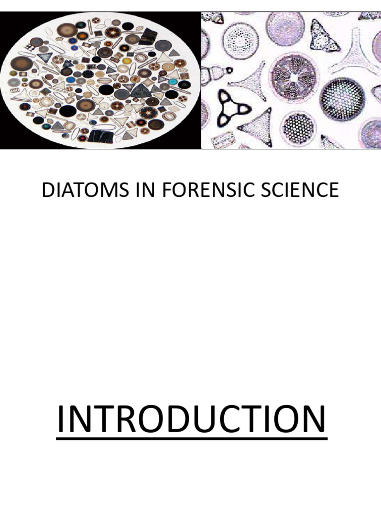 Forensic Use of Diatoms | PDF | Hydrogen Peroxide | Sulfuric Acid