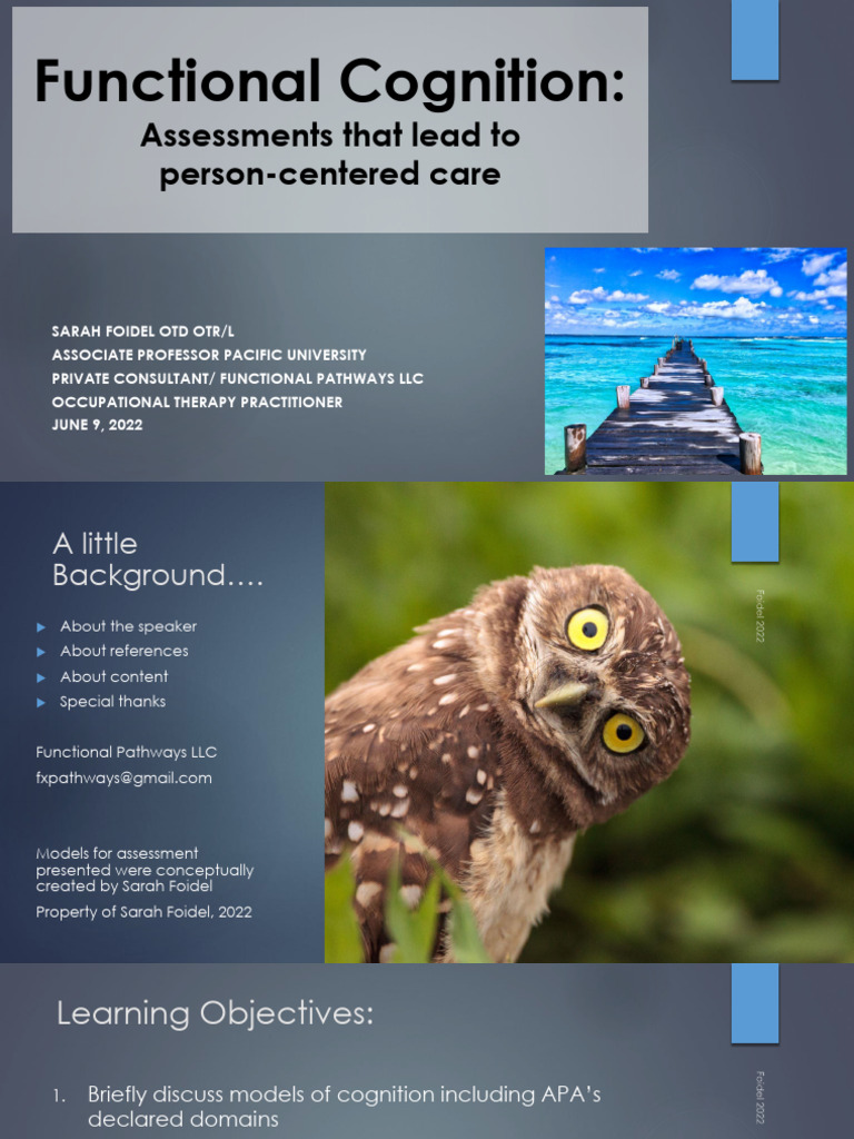 What Is Cognition or Functional Cognition | PDF | Attention | Mental ...