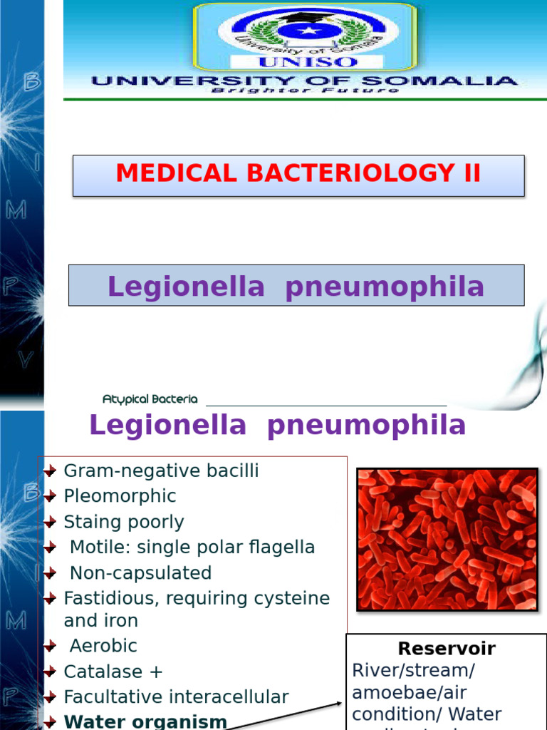 11. Legionella | PDF | Microbiology | Medicine