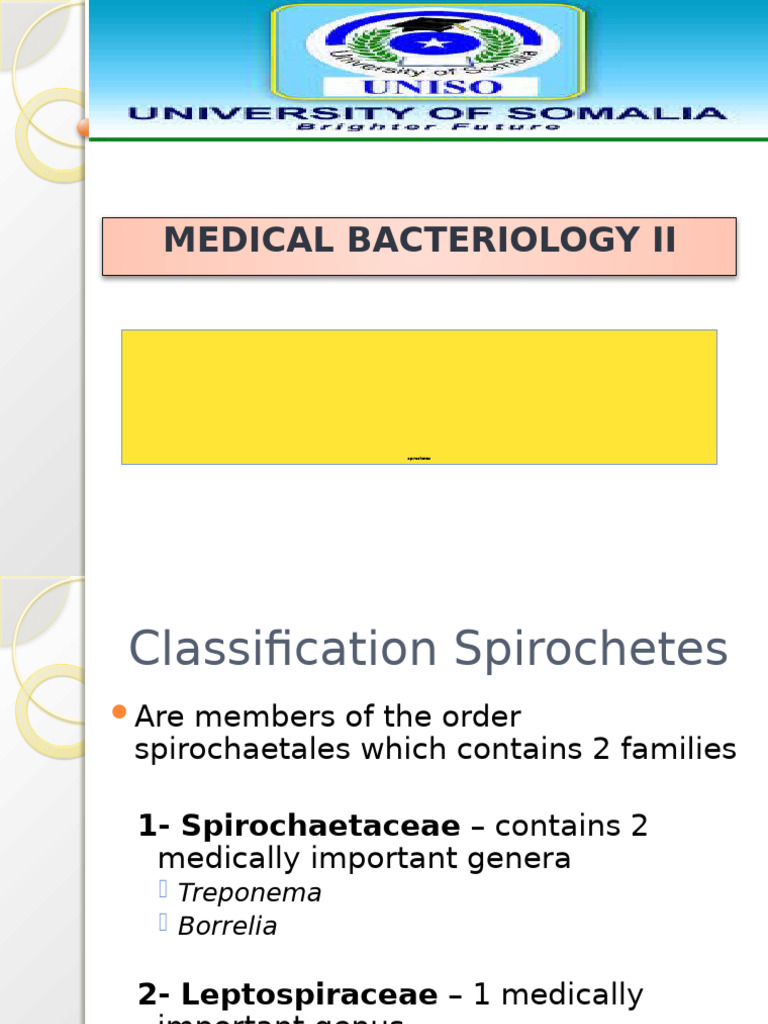 15. Spirochaetes | PDF | Lyme Disease | Animal Diseases