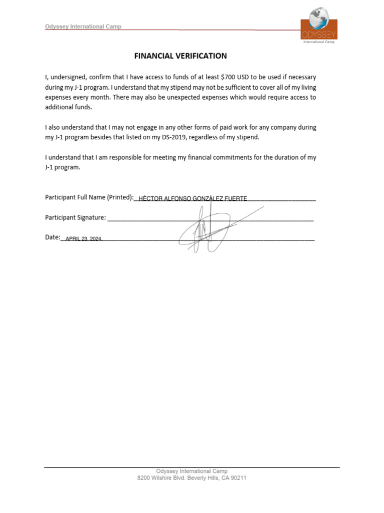 Financial Verification | PDF