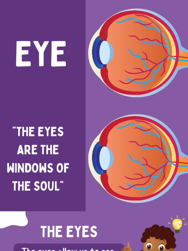 Refractionc of the eye | PDF | Eye | Cornea