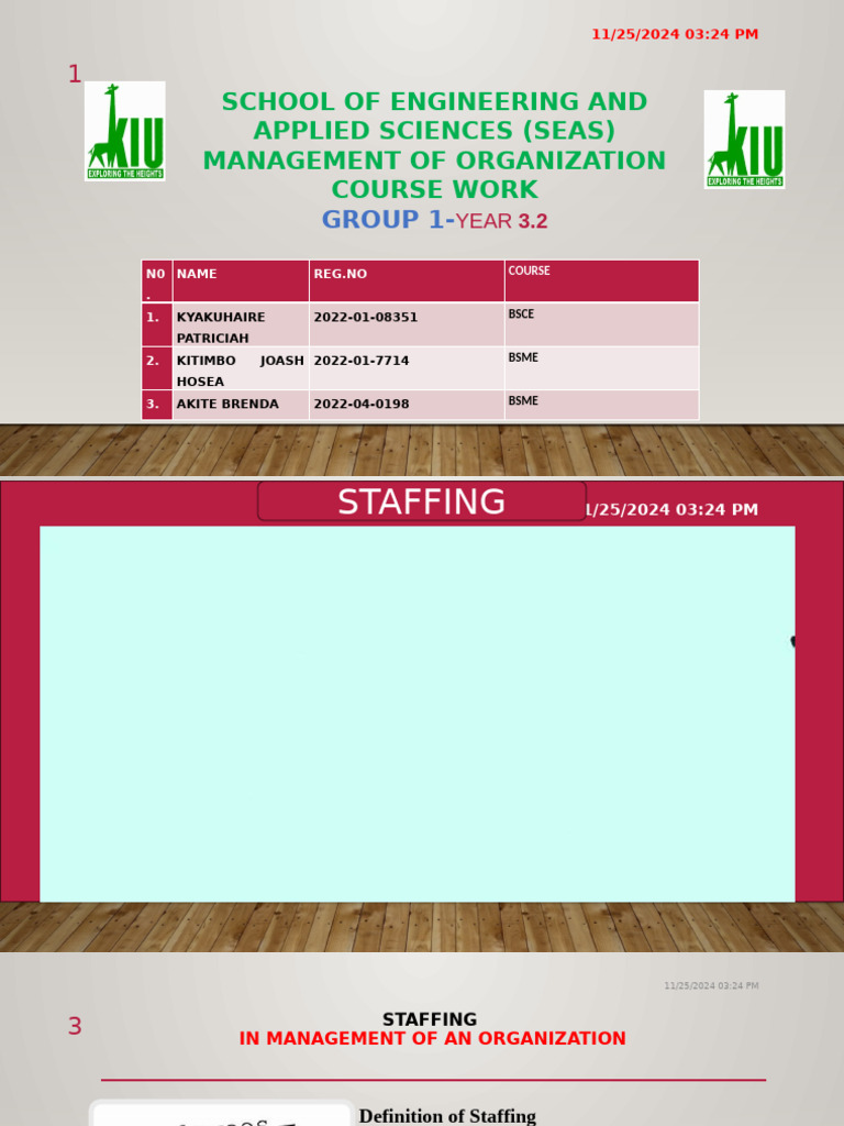 Staffing Process in Organizations | PDF | Recruitment | Employee Retention