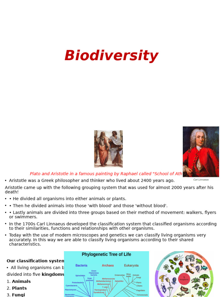 Biodiversity | PDF | Invertebrate | Plants