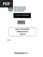 Grade 11 Gaseous Exchange Practical Task - Term 3 2024-1 | PDF | Breathing | Respiration