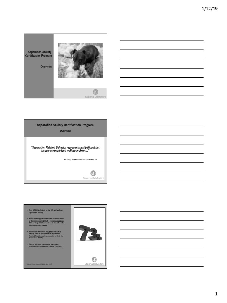 1 SepAnx Overview Start - 3 | PDF | Psychology | Diseases And Disorders