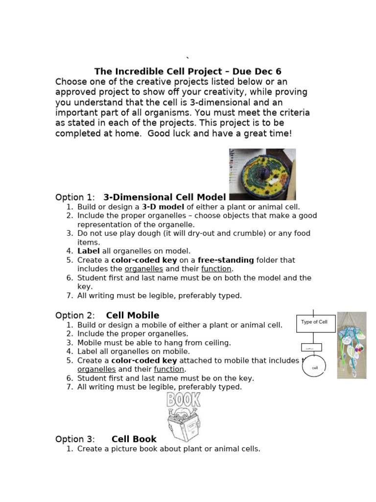 The Incredible Cell Project | PDF | Cell Biology | Cytoplasm