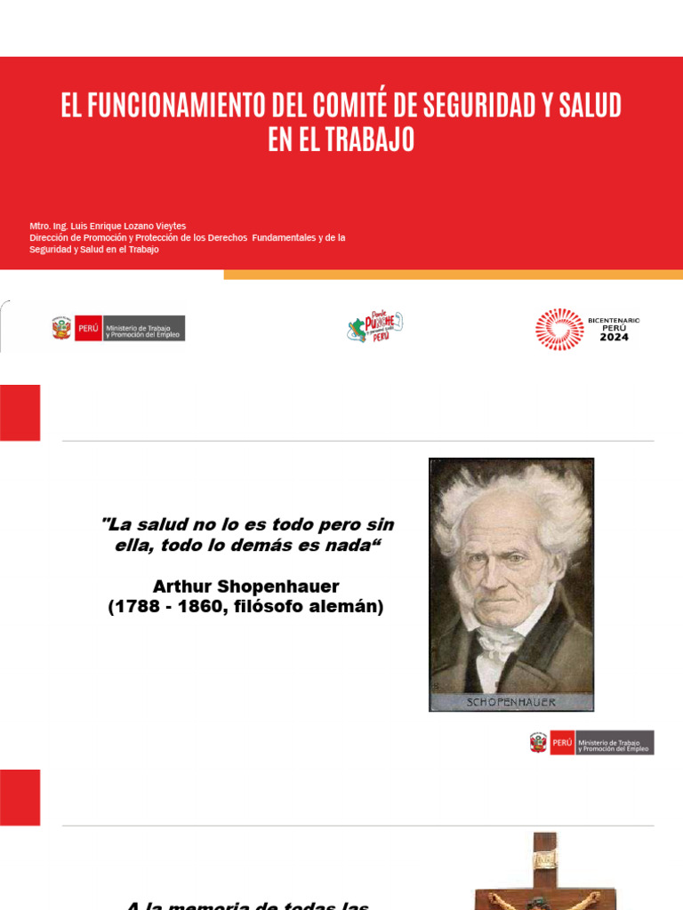 Comite SST - 2024 - Lelvf - Rev | PDF | Seguridad y salud ocupacional