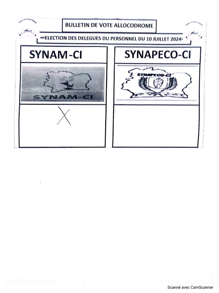 Bulletin de Vote | PDF