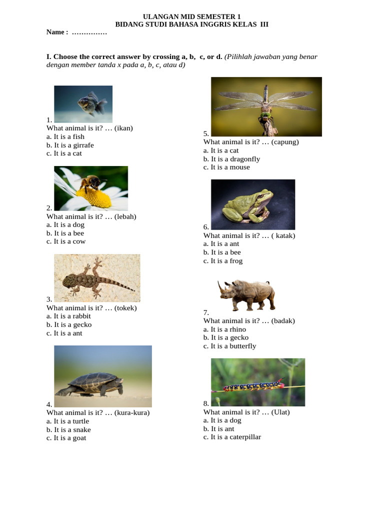 Ulangan Mid Semester 1 Kelas 3 | PDF