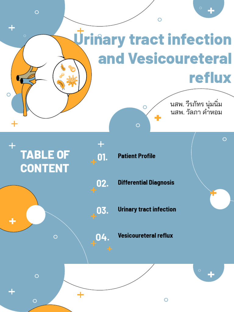 Urinary Tract Infection and Vesicoureteral Reflux | PDF