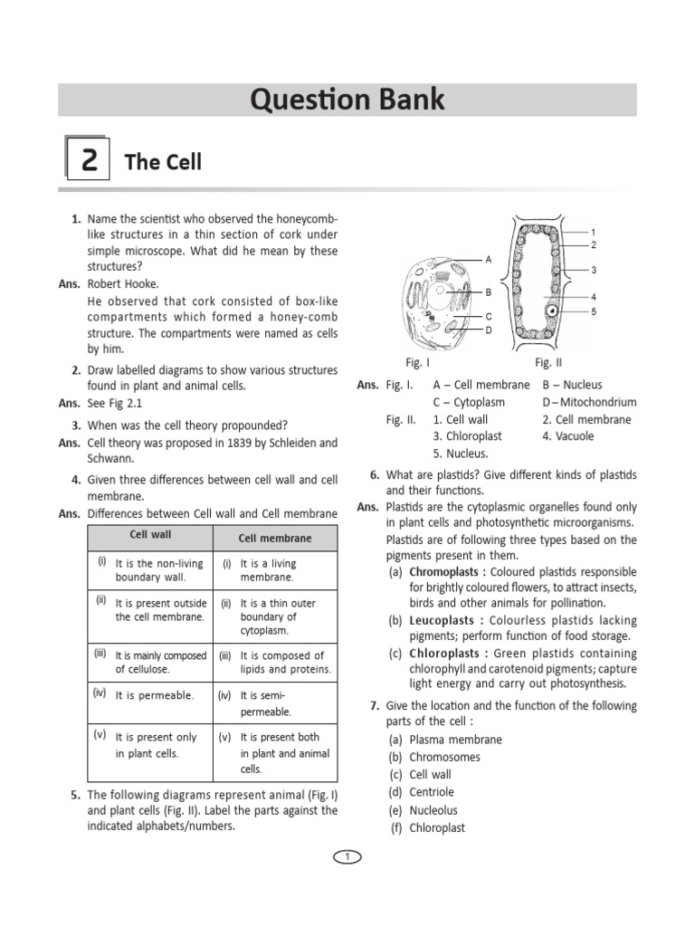 Genp Uy 1 NL 4 S BP D2 C 3 Z13 Z SAgid 77 MBo 3 | PDF | Cell (Biology ...
